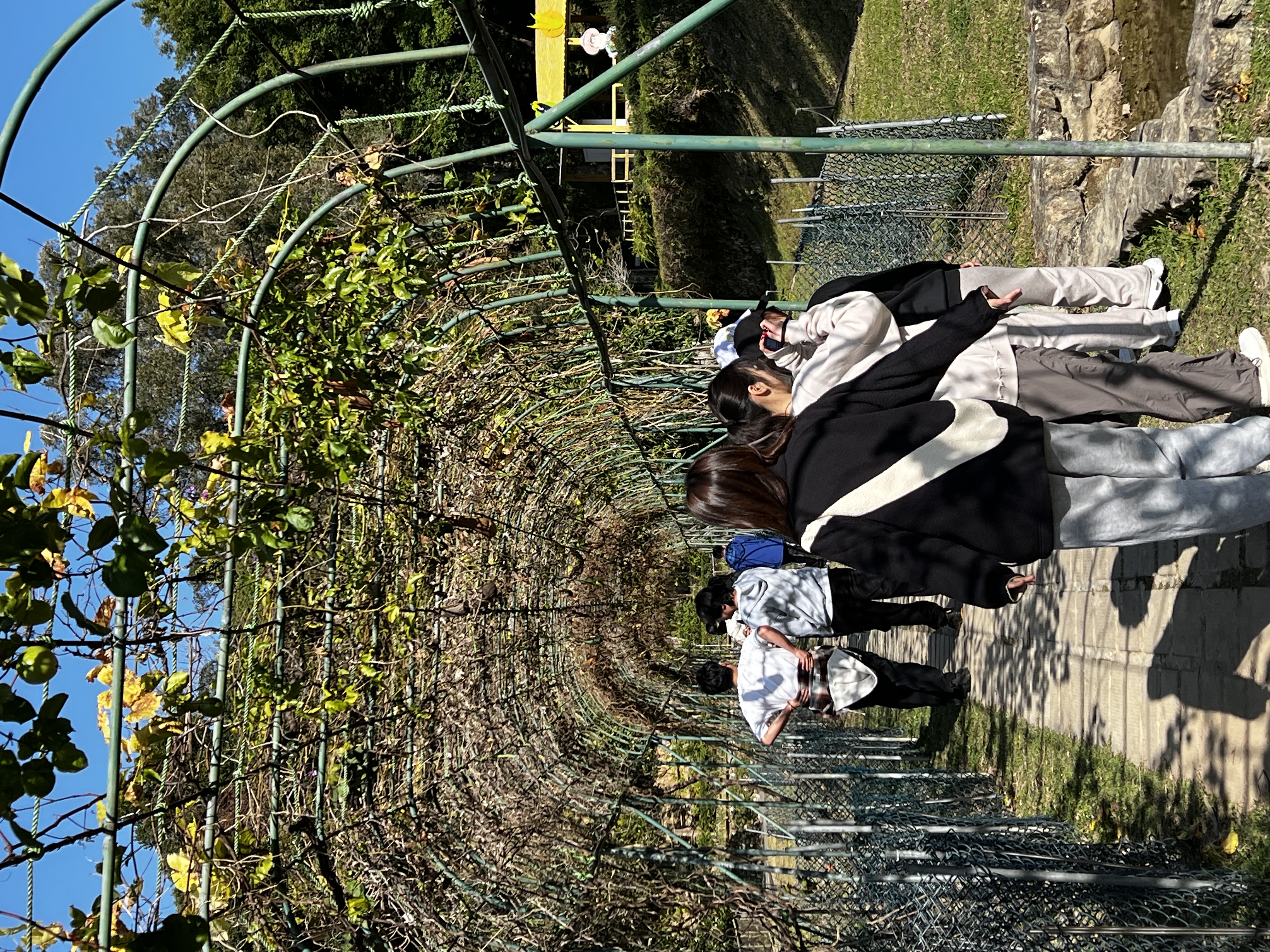 Student Affairs Office | CPCE - Photo Gallery - Wellness Buddy x Forest Bath Experience 2025-02-9